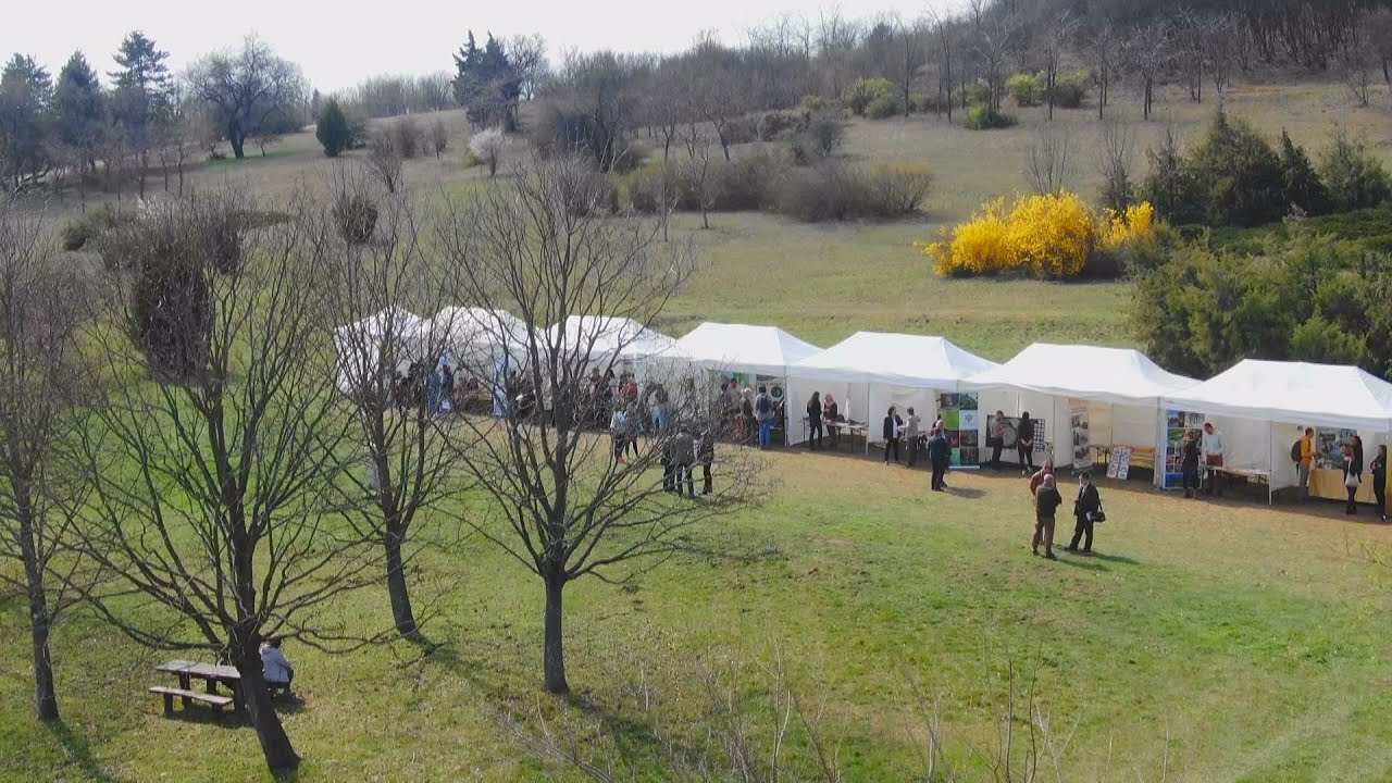 maxresdefault-13 - Hazai Vadász Hazai Erdész