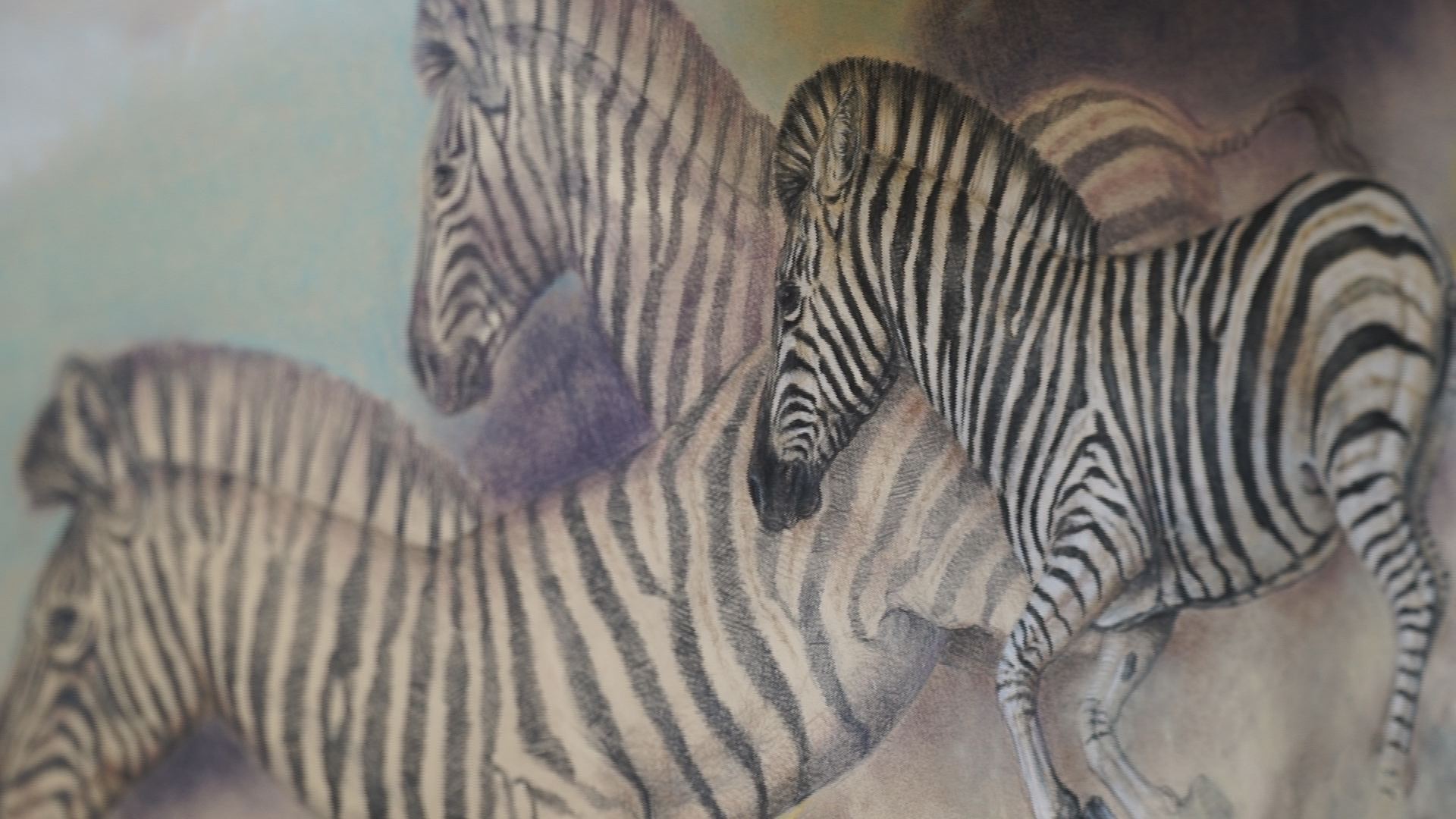 A pénteki 17:30 órakor kezdődő ZÖLD VILÁG Magazinban Prihoda Judit ...