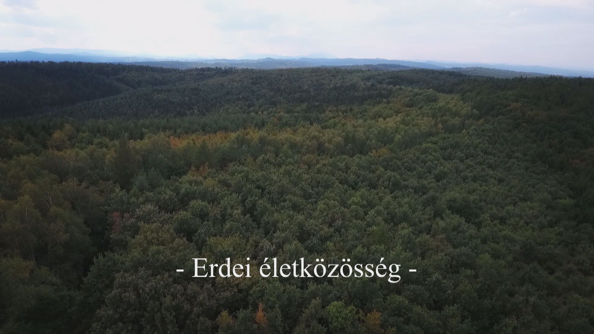 Still0412_00004 - Hazai Vadász Hazai Erdész